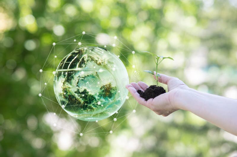 The Concept of Supporting Nature and Protecting the Ecology Stock Photo ...