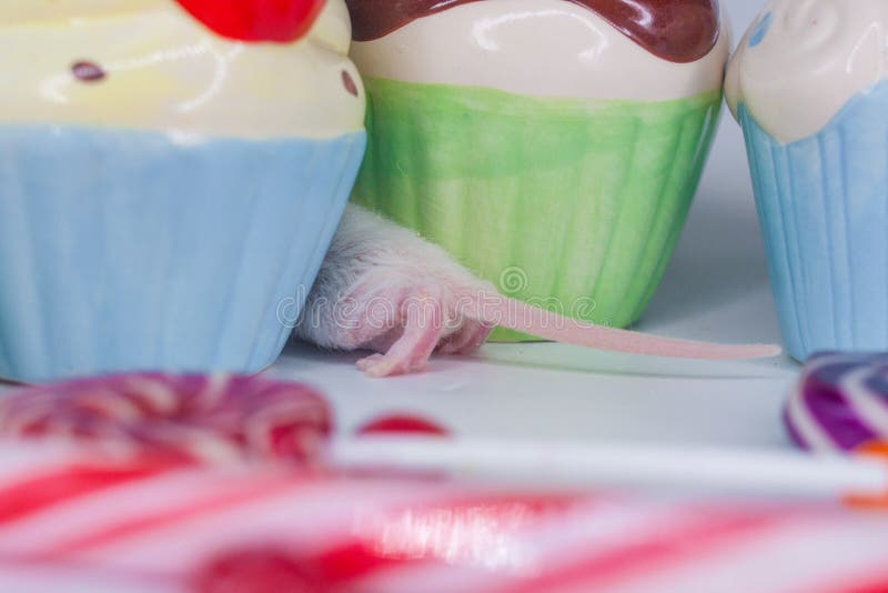 The Concept of a Sweet Tooth. Mouse with Colorful Sweets Stock Photo ...