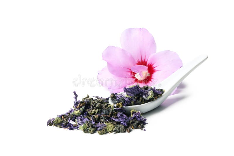 Concept of Tasty Hot Drink, Anchan Tea, Isolated on White Background ...