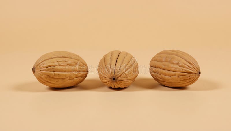 Three Walnut Shells Against a Beige Backdrop Stock Illustration ...