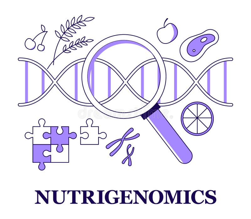 Concept on the Topic of the Science of Nutrigenomics. Stock Vector ...
