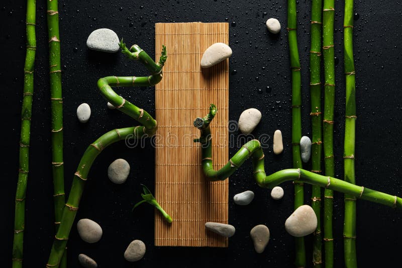 Concept of Tropical and Summer Plant - Bamboo Stock Image - Image of ...