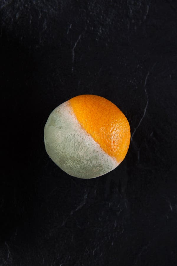 Spoiled Orange. The Black Middle Inside The Fruit Stock Image - Image ...