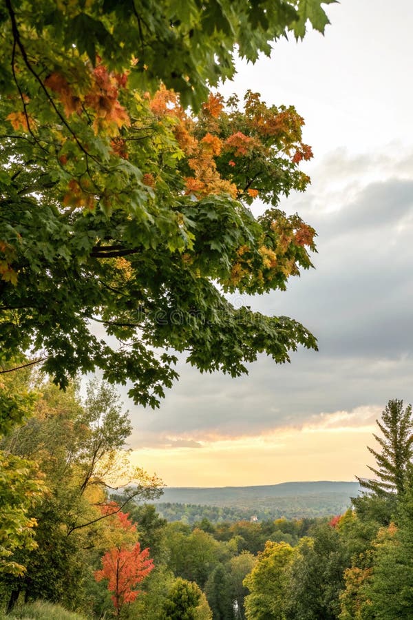 Concept of Weather Transition from Summer To Fall Stock Illustration ...