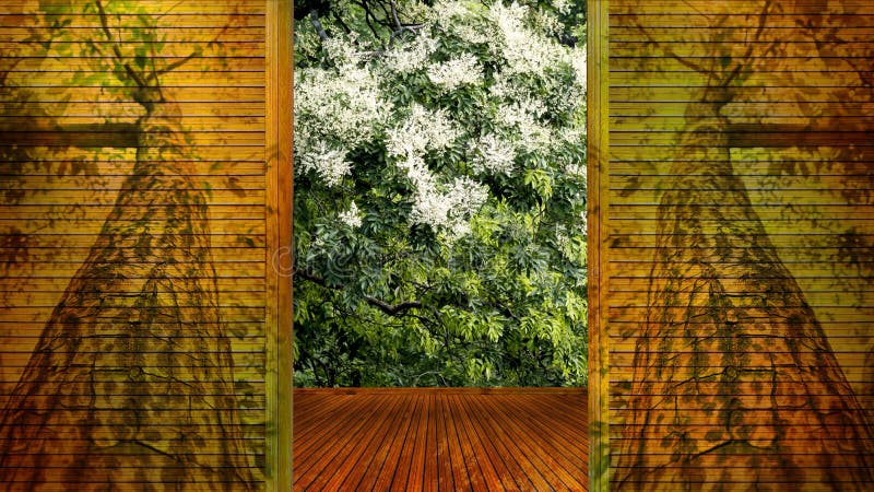 Concept of Wood Open Door See the Tree Stock Illustration ...