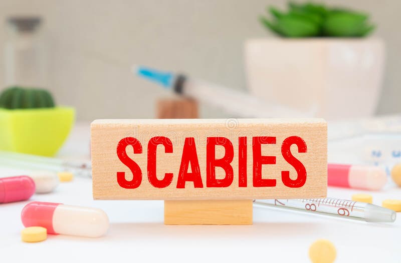 Scabies on Wooden Cubes. on Table Background Stock Photo - Image of ...