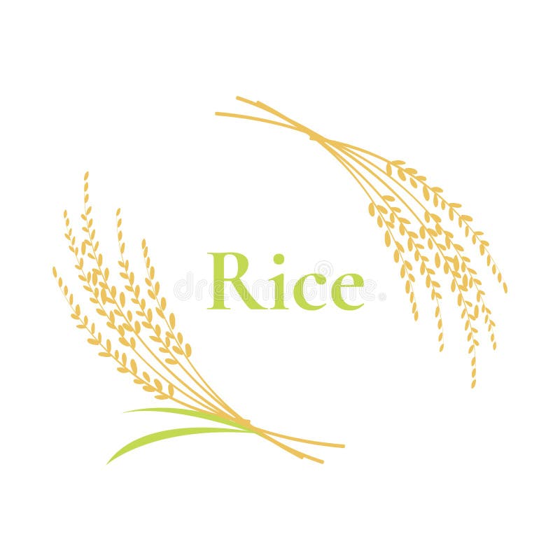 Oreille De Conception De Logo De Riz, Vecteur De Cadre De Cercle, Usine ...