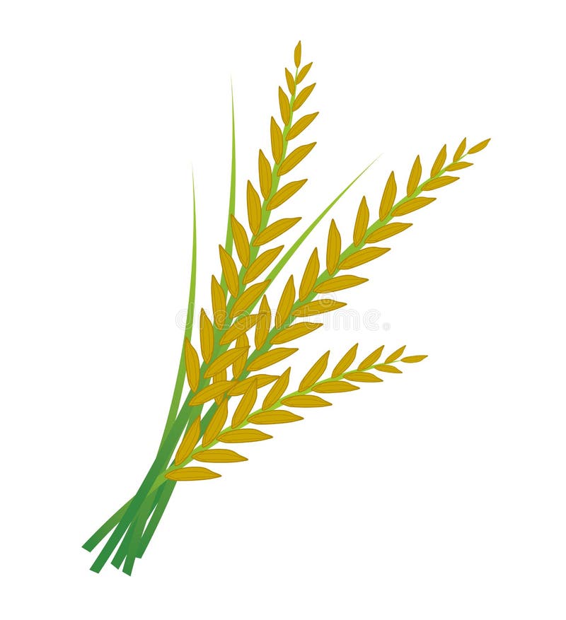 Conception de riz illustration de vecteur. Illustration du nourriture ...