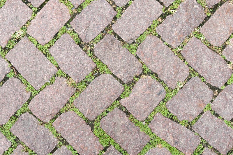 Conception En Pierre De Trottoir De Texture De Plancher D'herbe Image ...