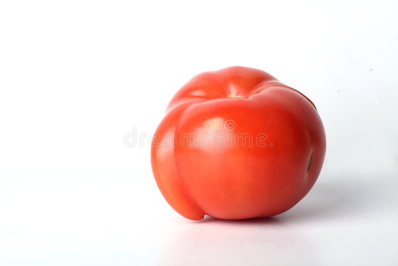 Concepto De Comida Fea - Tomate Feo Sobre Fondo Blanco Imagen de ...