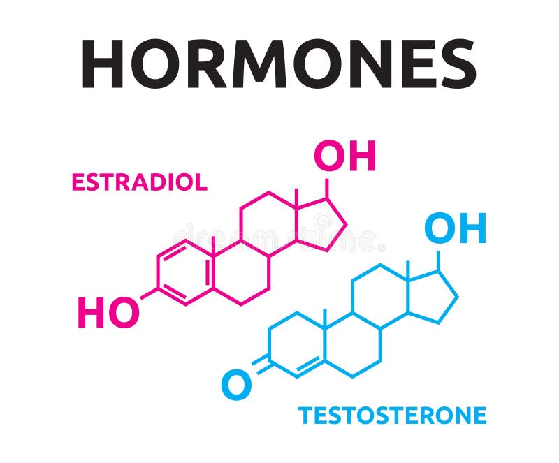 Hormonas Sexuales. Hormona De Símbolo De Laboratorio Estructura Química ...