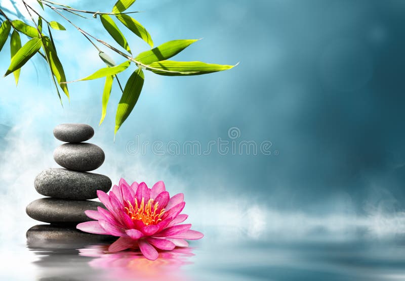 Concepto Del Zen En Naturaleza Imagen de archivo - Imagen de ...