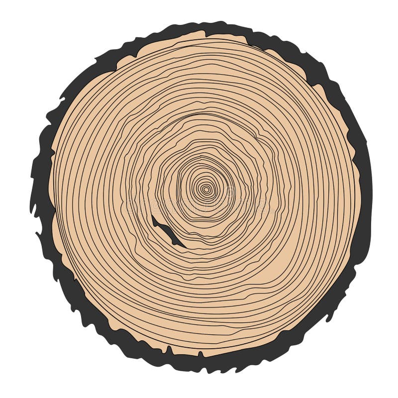 Vector Conceptual Background Tree Rings Stock Illustrations – 609 ...