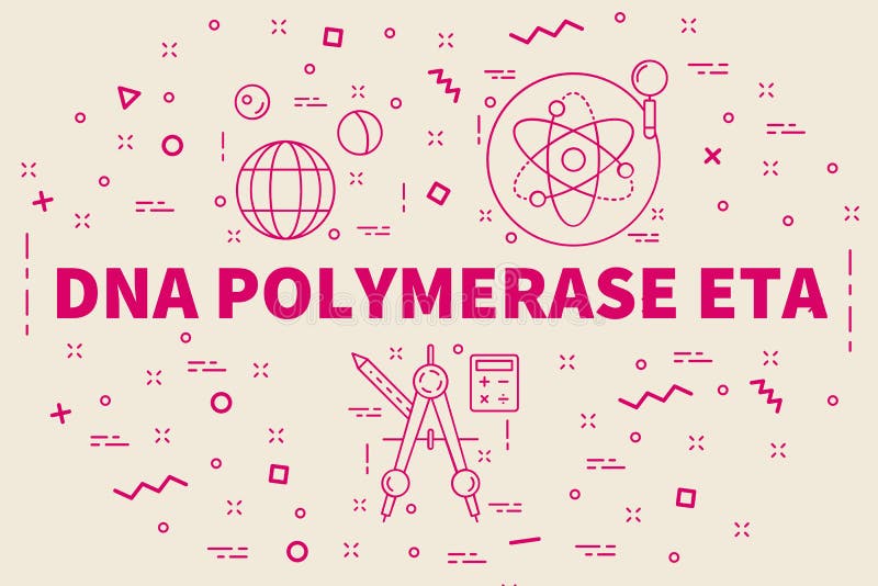 Polymerase Eta Stock Illustrations – 1 Polymerase Eta Stock ...
