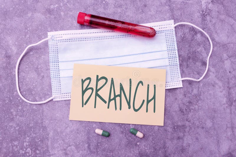 Conceptual Display Branch. Business Overview a Part of a Tree Which ...