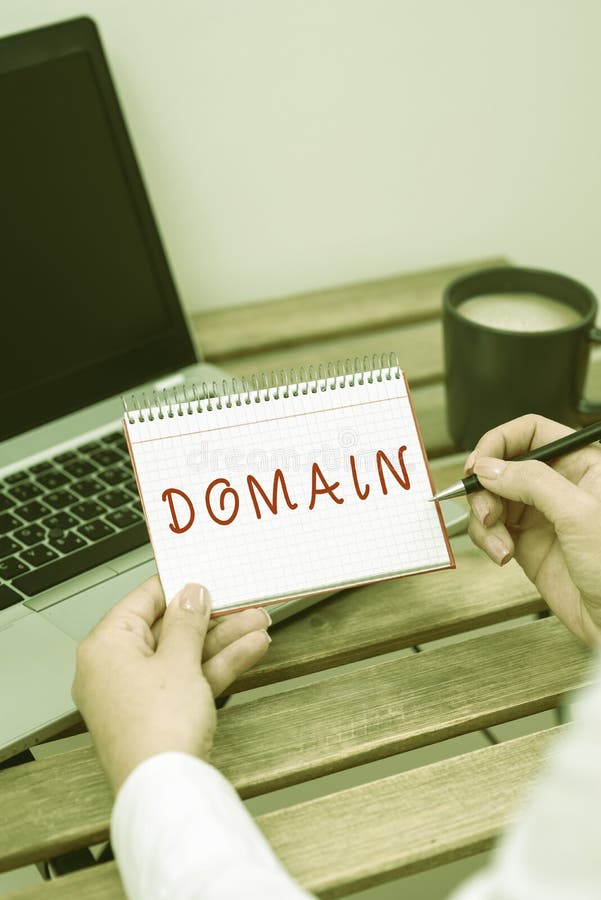 Conceptual Caption Domain. Concept Meaning Identification String that ... Conceptual Caption Domain. Concept Meaning Identification String that ...