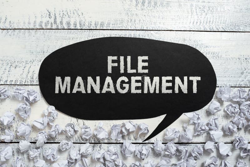 Conceptual Caption File Managementcomputer Program That Provides User Interface To Manage Data