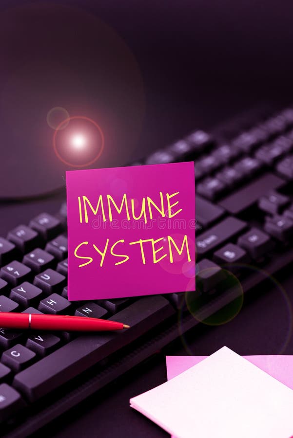 Conceptual Caption Immune System. Concept Meaning Complex Network Work ... Conceptual Caption Immune System. Concept Meaning Complex Network Work ...