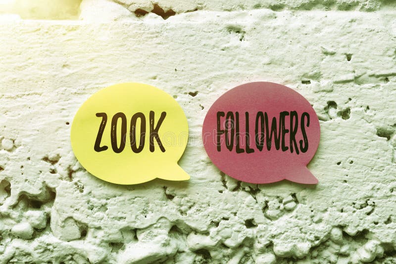 Conceptual Caption 200K Followers. Concept Meaning Number of ... Conceptual Caption 200K Followers. Concept Meaning Number of ...