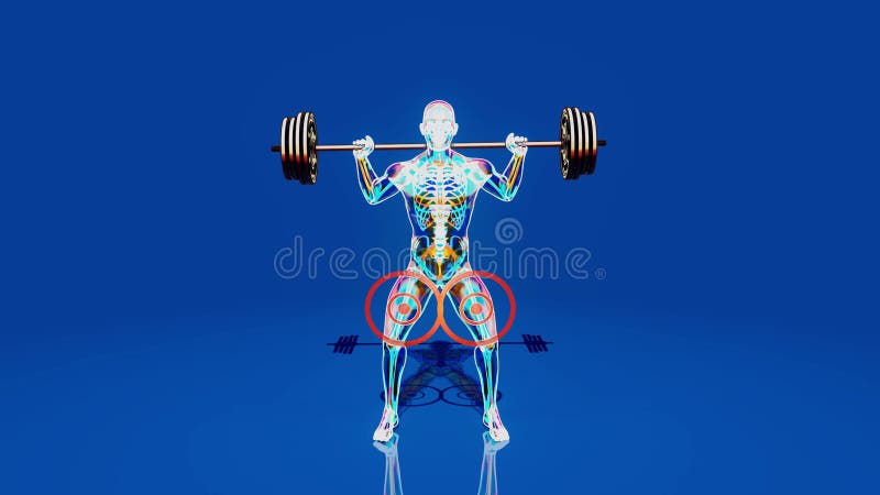 3D Animation of a Man S Doing Squats Stock Footage - Video of lifestyle ...