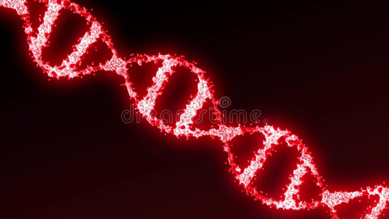 Conceptual 3D Rendering of Red DNA Molecule Model Stock Illustration ...