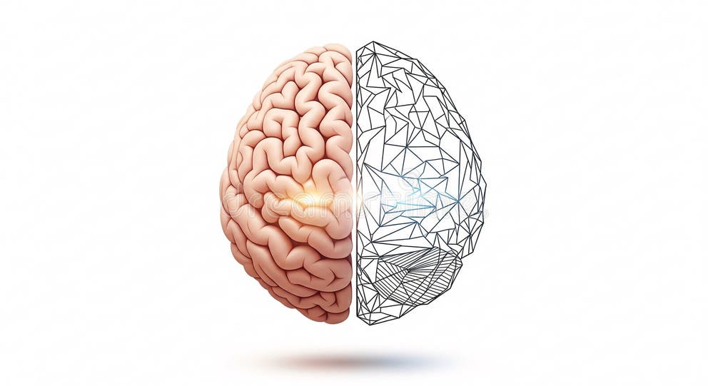 Organic Brain Structure Stock Illustrations – 4,788 Organic Brain ...