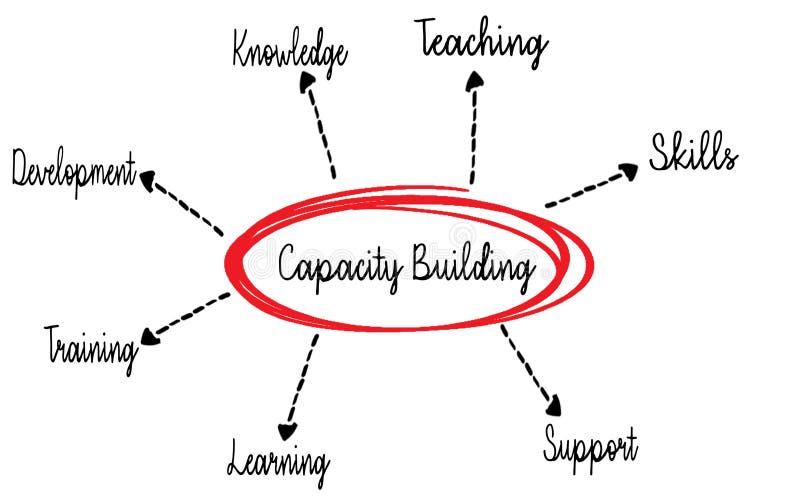 Conceptual Diagram Highlighting Capacity Building and Related Skills ...