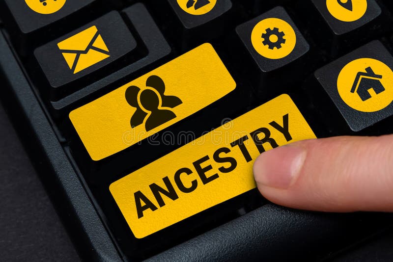 Conceptual Display Ancestry. Conceptual Photo the History or ...