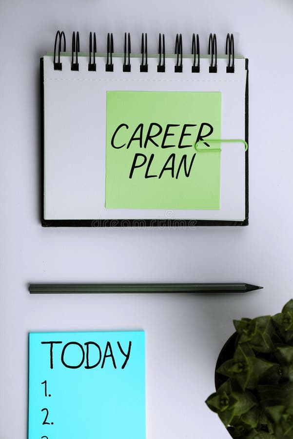 Conceptual Display Career Plan. Business Overview Ongoing Process Where ... Conceptual Display Career Plan. Business Overview Ongoing Process Where ...
