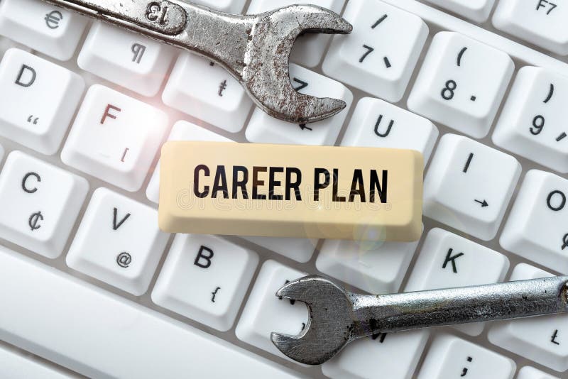 Conceptual Display Career Plan. Concept Meaning Ongoing Process Where ... Conceptual Display Career Plan. Concept Meaning Ongoing Process Where ...