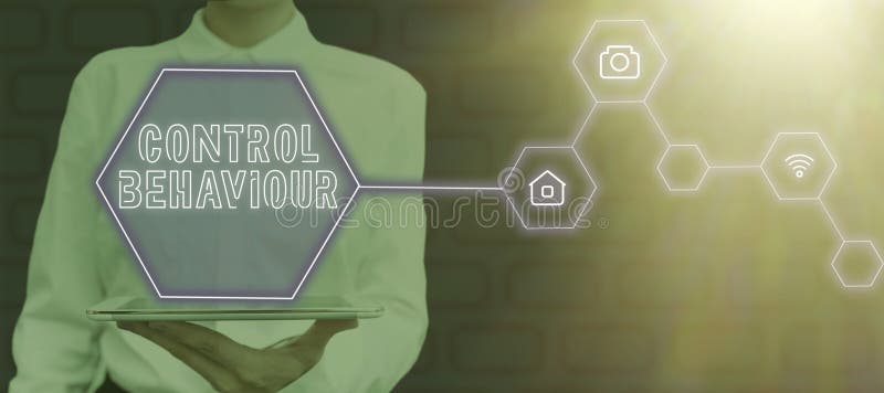 Conceptual Display Control BehaviourExercise of Influence and Authority ...