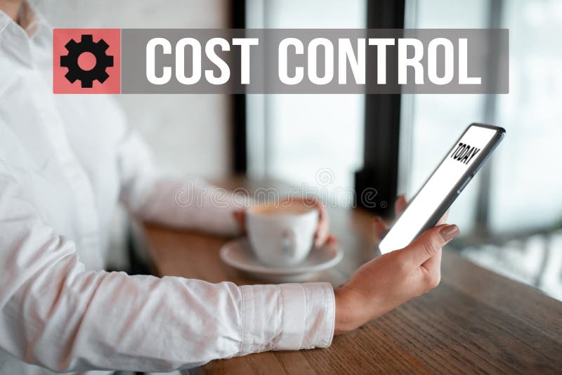 Conceptual Display Cost Control. Business Overview Practice of ...