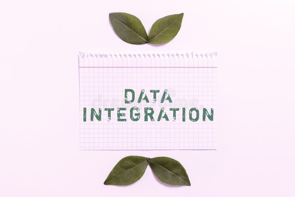 Conceptual Display Data Integrationcombination Of Technical And Business Processes To Combine