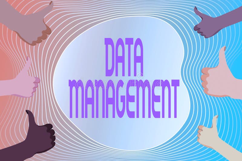 Conceptual Display Data Management. Business Approach the Practice of ...