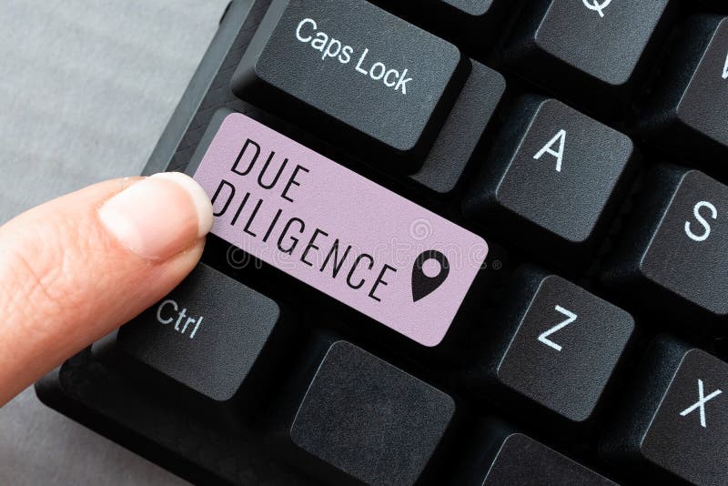 Conceptual Display Due Diligence. Business Showcase Comprehensive ... Conceptual Display Due Diligence. Business Showcase Comprehensive ...