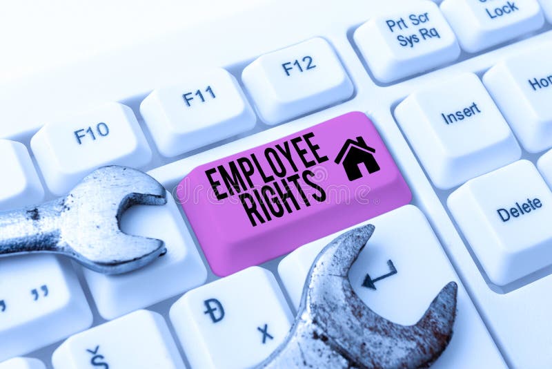 Conceptual Display Employee RightsAll Employees Have Basic Rights in ... Conceptual Display Employee RightsAll Employees Have Basic Rights in ...