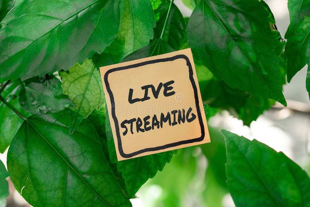 Conceptual Display Live Streaming. Internet Concept Transmit Live Video ...