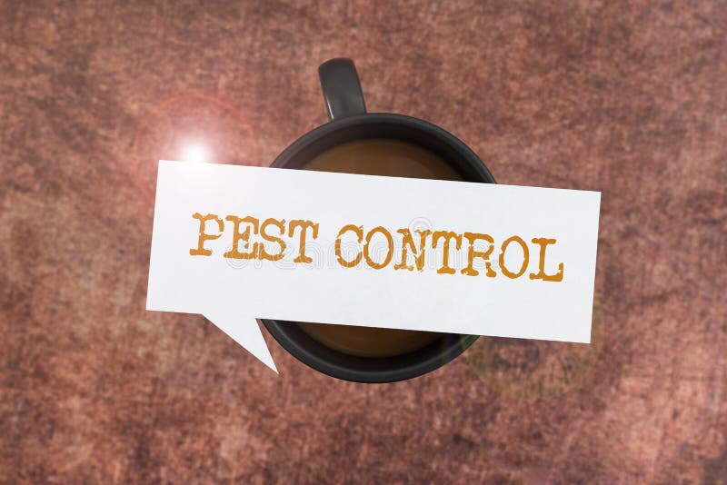 Conceptual Display Pest Control. Concept Meaning Killing Destructive ... Conceptual Display Pest Control. Concept Meaning Killing Destructive ...