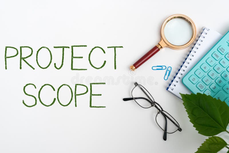 Conceptual Display Project Scope. Business Showcase Evaluation of Work ...