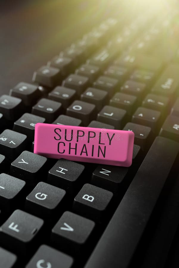 Conceptual Display Supply Chain. Word for System of Organization and ... Conceptual Display Supply Chain. Word for System of Organization and ...