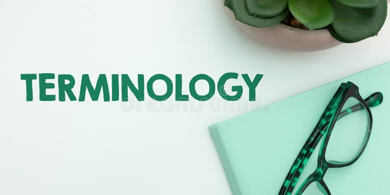 Conceptual Display Terminology. Word for Terms Used with Particular ...