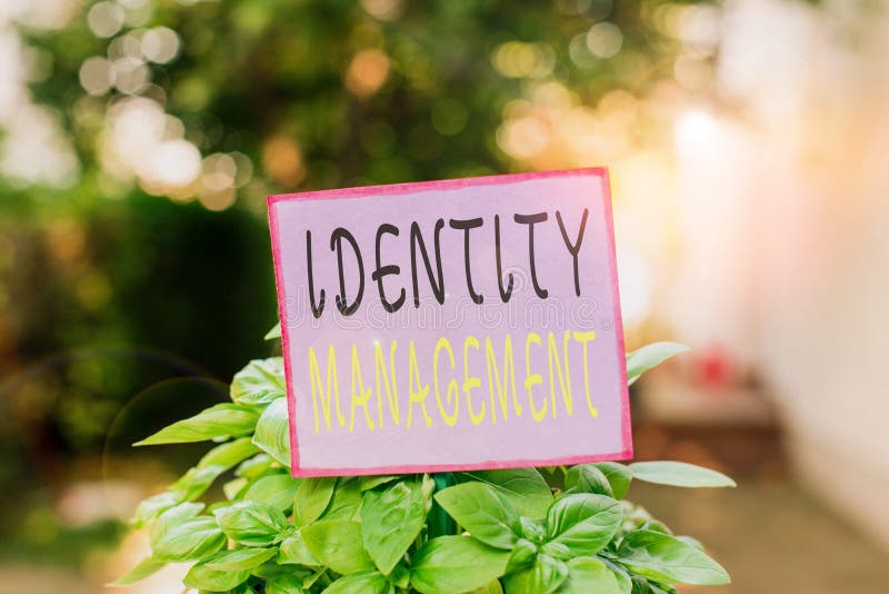 Conceptual Hand Writing Showing Identity Management. Business Photo ...