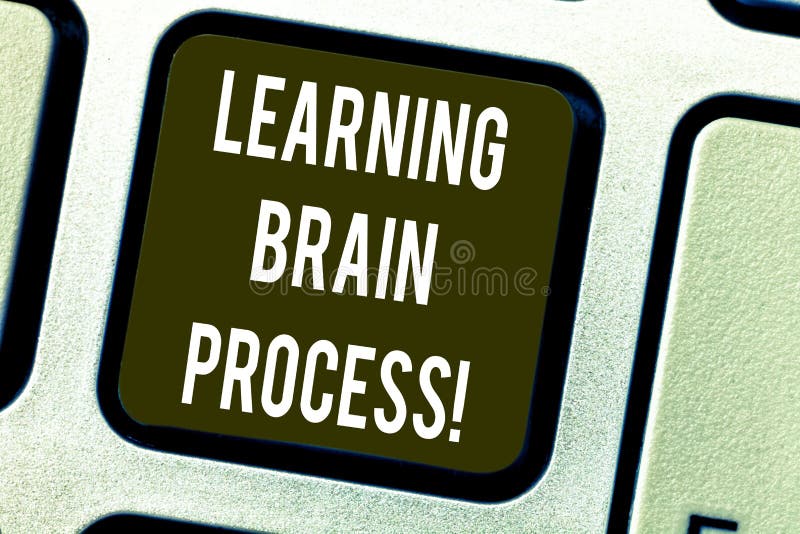Conceptual Hand Writing Showing Learning Brain Process. Business Photo ...