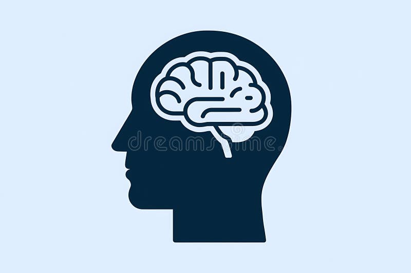 Conceptual Illustration of the Human Brain within the Head Stock Photo ...