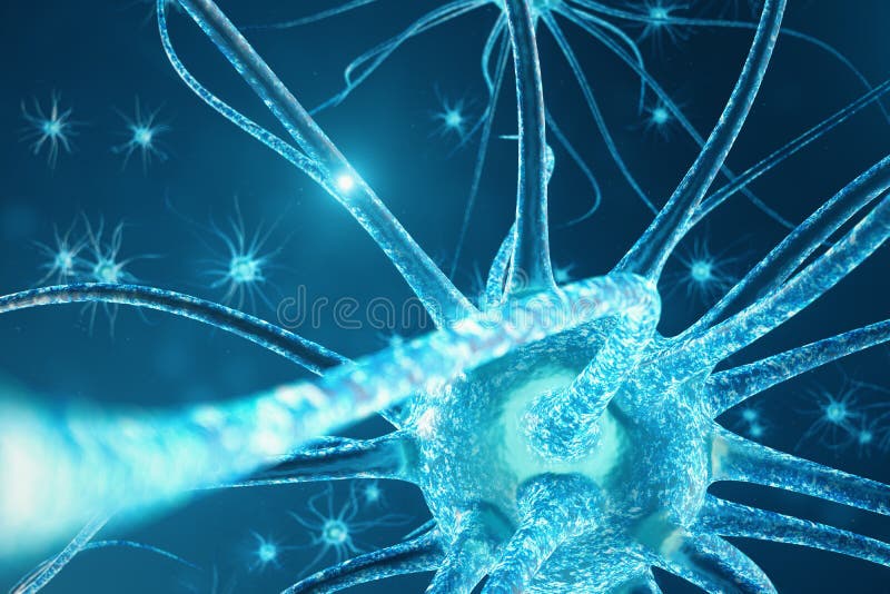 Neurons in the Brain on White Background with Focus Effect. 3d ...