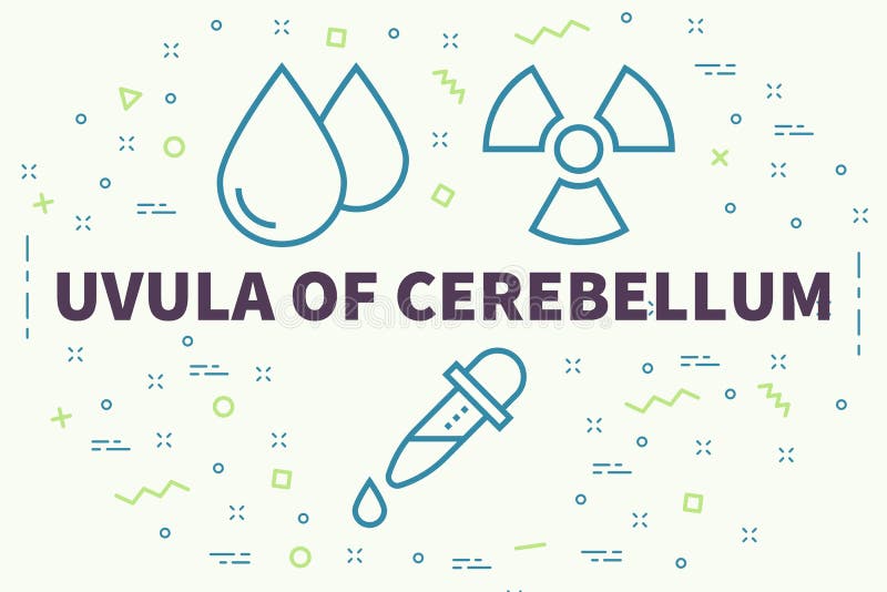 Conceptual Illustration with the Words Uvula of Cerebel Stock ...