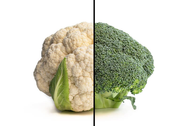 Conceptual Image of Competition of Two Kind of Vegetables Stock Image ...