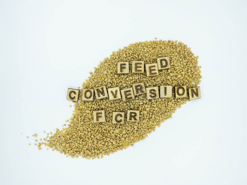 Using Enzymes and Acidifiers in Animal Feeds for Improve Digestibility ...