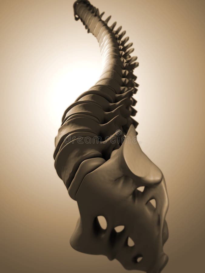 Conceptual Image of Human Backbone. Stock Illustration - Illustration ...