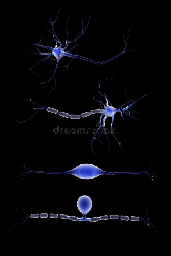 Conceptual Image of a Neuron. Stock Illustration - Illustration of ...